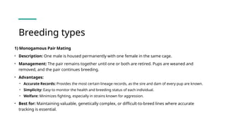 BREEDING TYPES of animals in animal house | PPTX