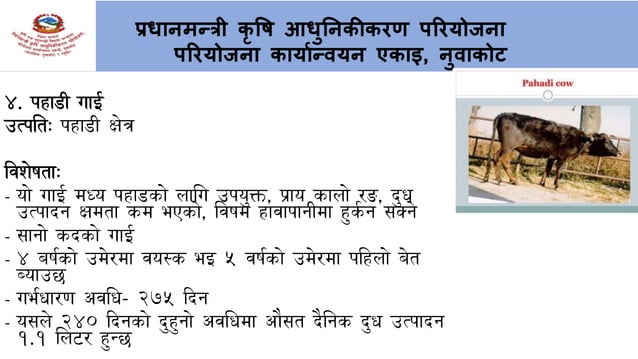 Breed of cattle and Buffalo | PDF