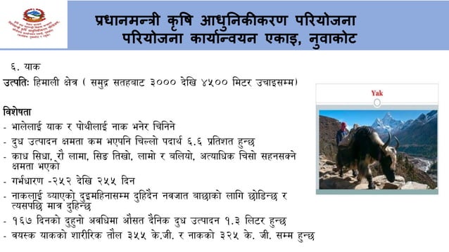 Breed of cattle and Buffalo | PDF