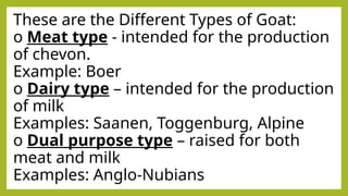 Different Breeds of Goats and Sheep.pptx