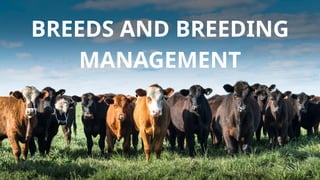 BREEDS-AND-BREEDING-MANAGEMENT-ariel.pptx