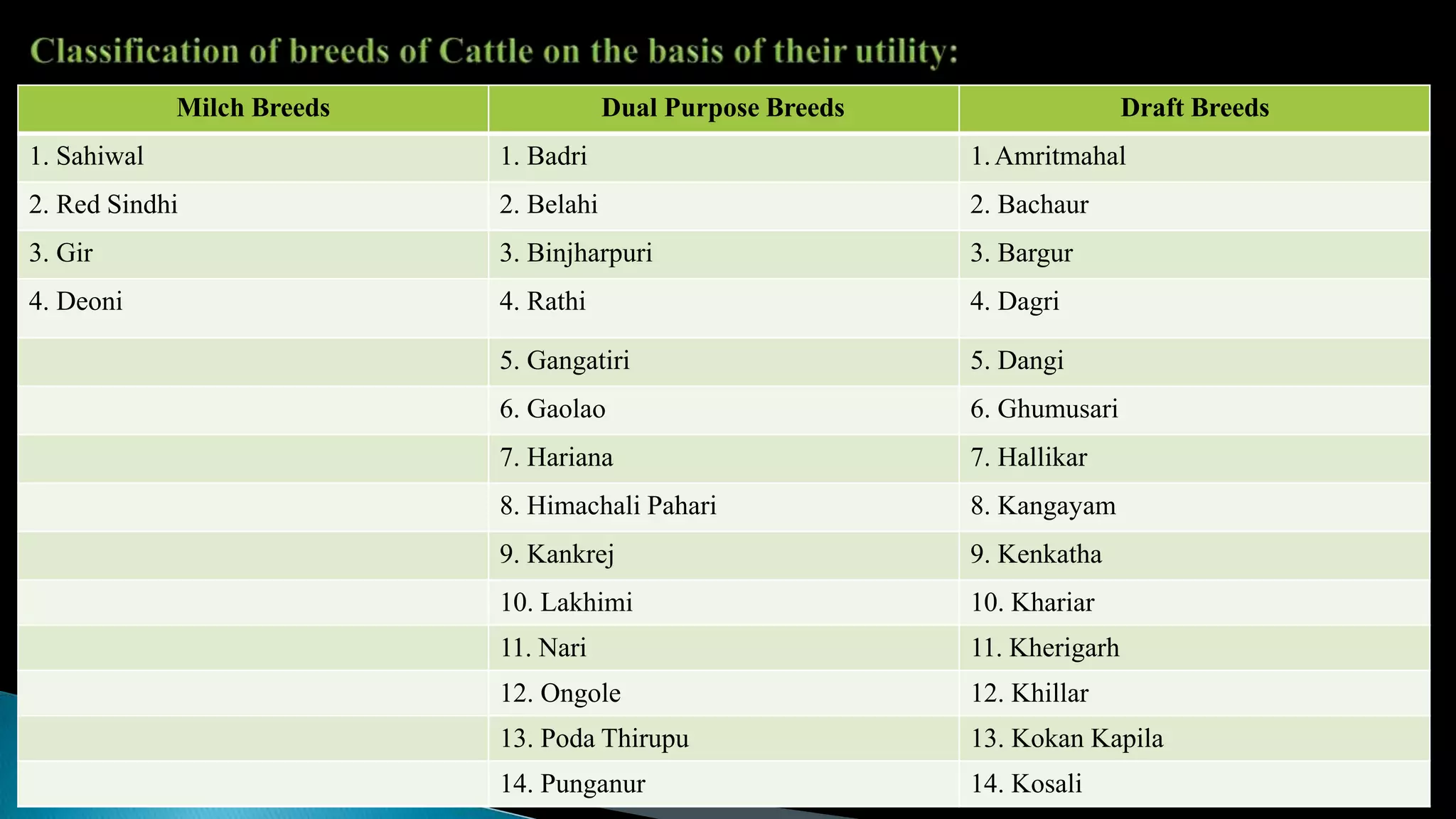 Breeds-of-Cattle(2)-converted.pptx