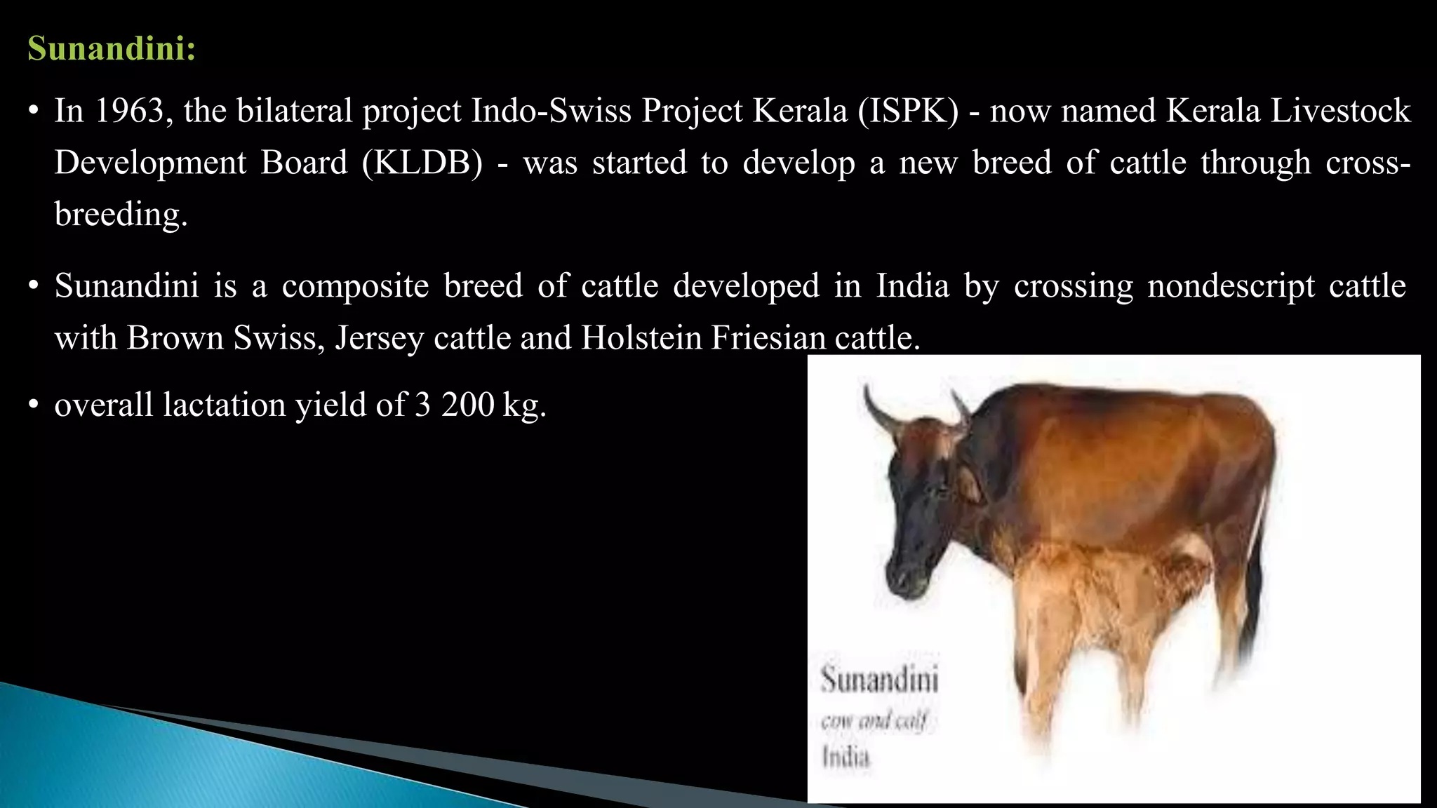 Breeds-of-Cattle(2)-converted.pptx