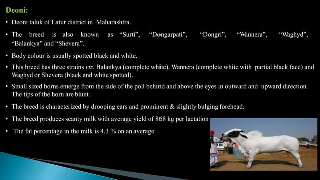 Breeds-of-Cattle(2)-converted.pptx | Dogs | Pets