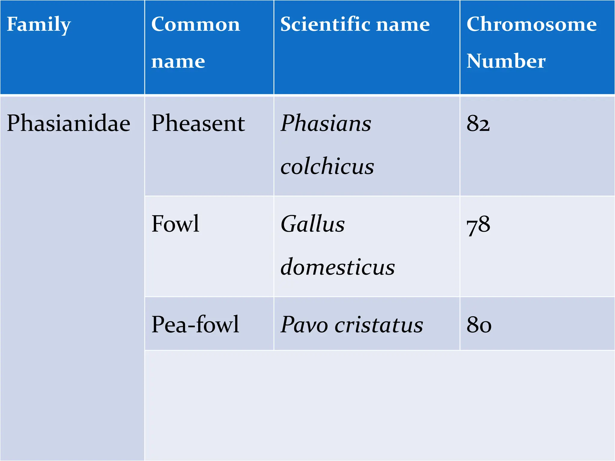 Breeds of Poultry breeds & Classification | PDF