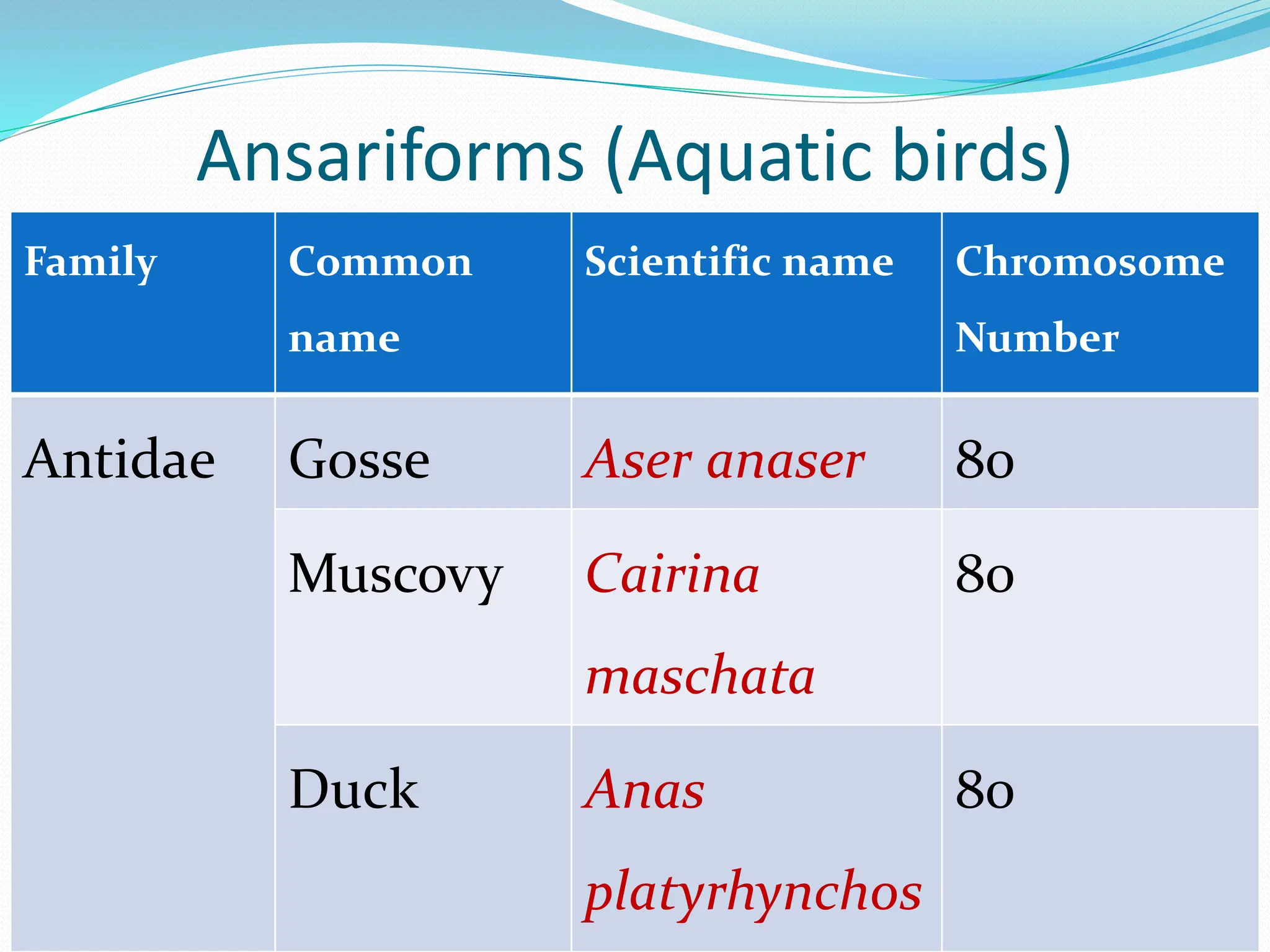 Breeds of Poultry breeds & Classification | PDF