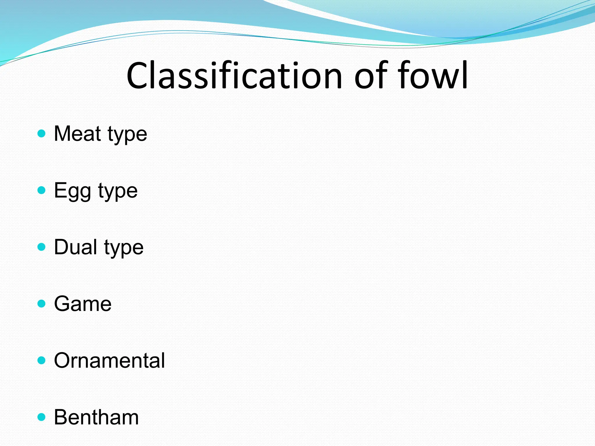Breeds of Poultry breeds & Classification | PDF