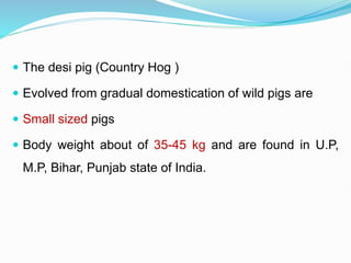 Breeds-of-swine.pdf