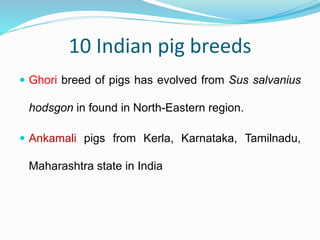 Breeds-of-swine.pdf