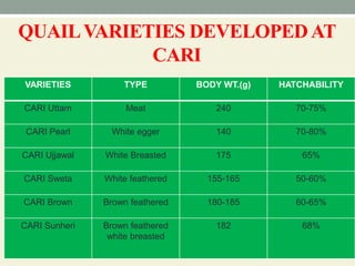 Breeds and varieties of quail | PPTX