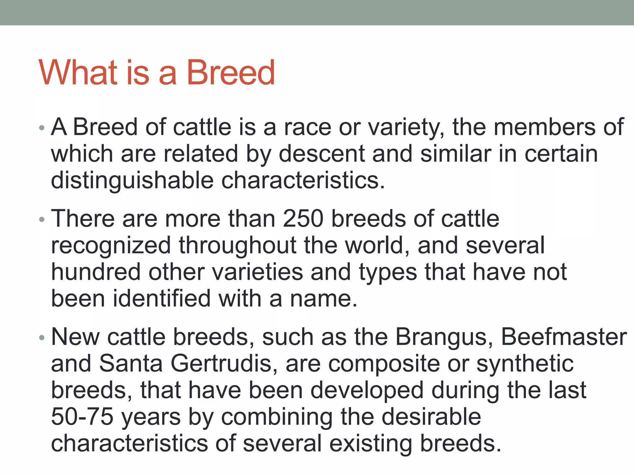 Breeds of Beef Cattle .ppt