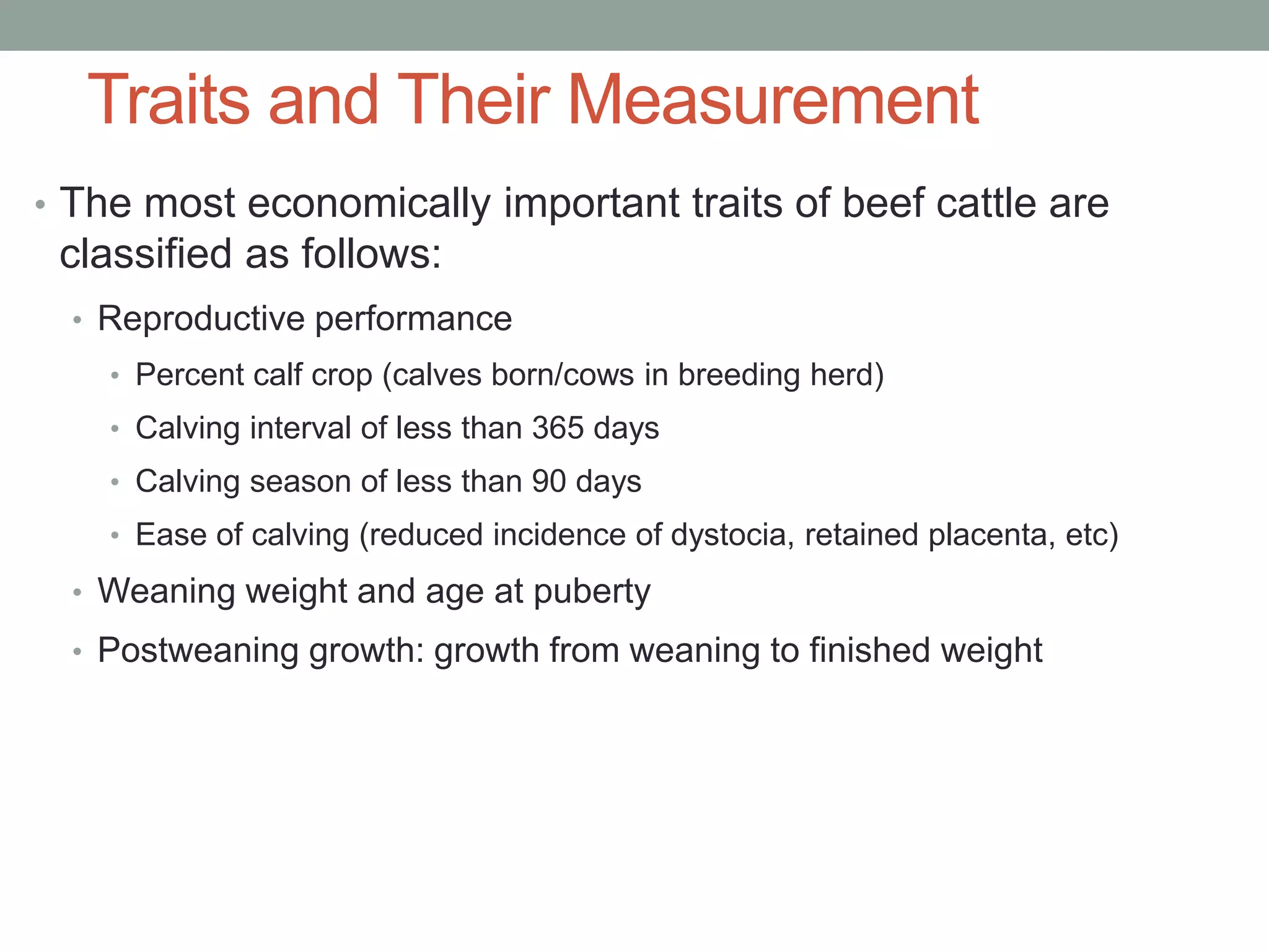 Breeds of Beef Cattle .ppt