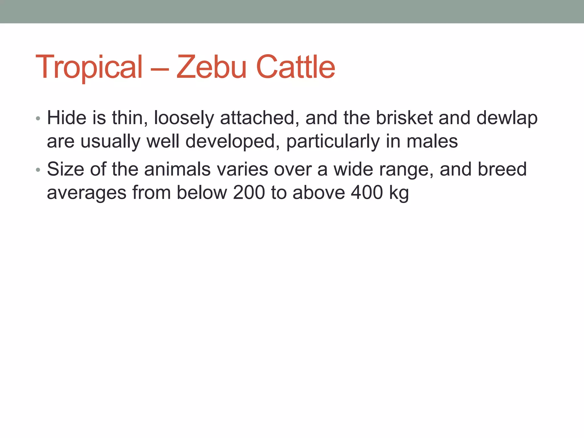 Breeds of Beef Cattle .ppt