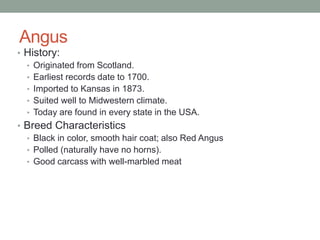 Breeds of Beef Cattle .ppt