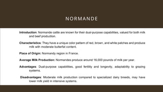 Different Breeds of Dairy Animals - Cattle | PPTX