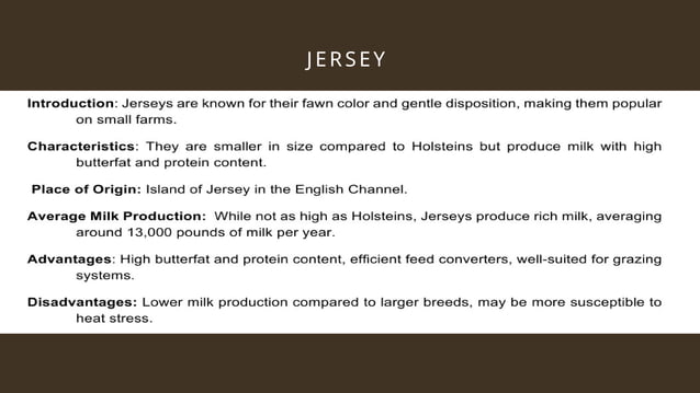 Different Breeds of Dairy Animals - Cattle | PPTX