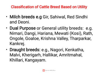 breeds_of_cattle_LPM_1234098765432wdfxdvjnb.ppt
