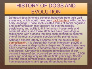 Breeds of dogs (by Seema Bhardwaj KVVP) | PPSX