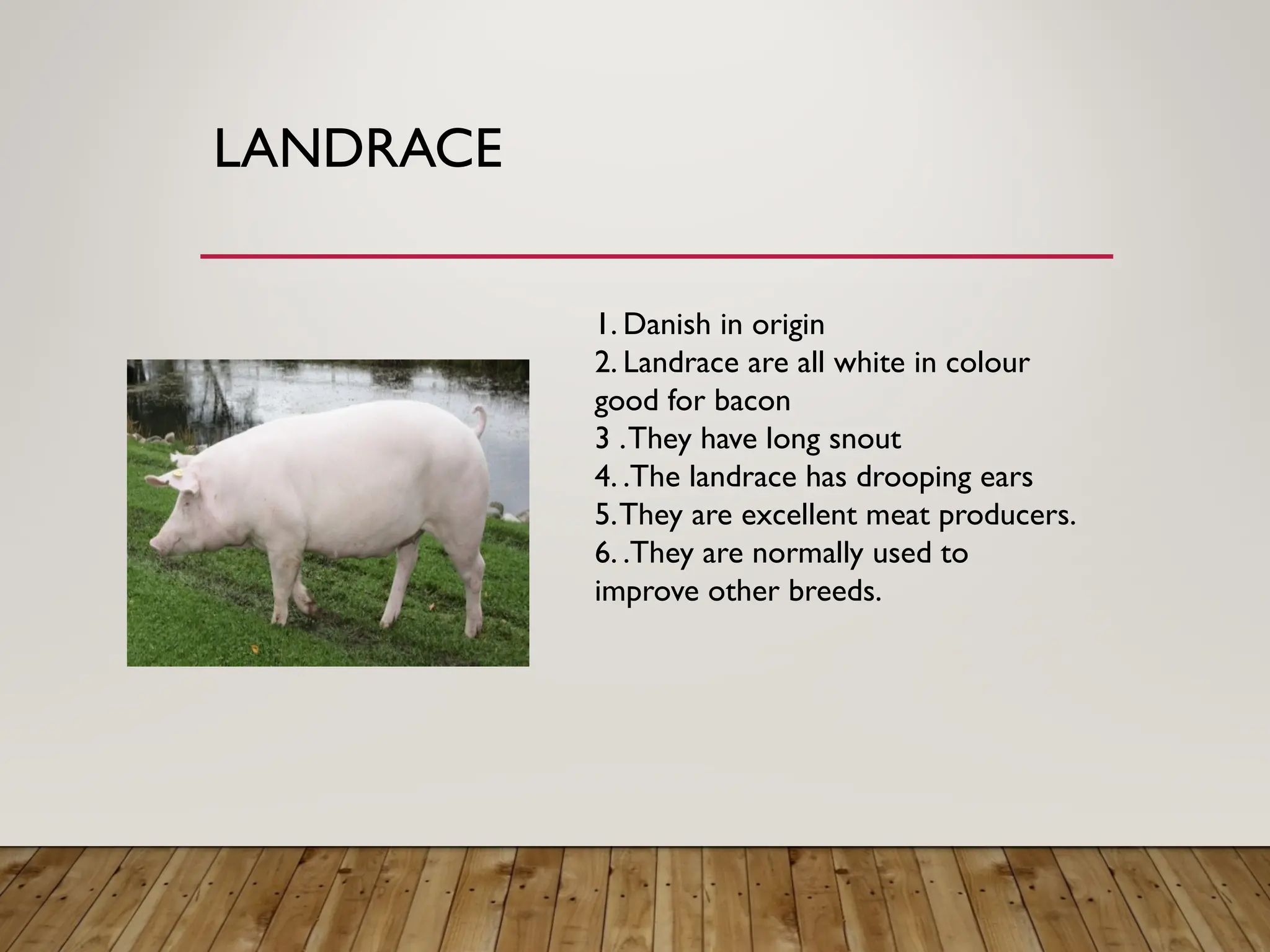 Various Breeds of farm animals PowerPoint | PPTX