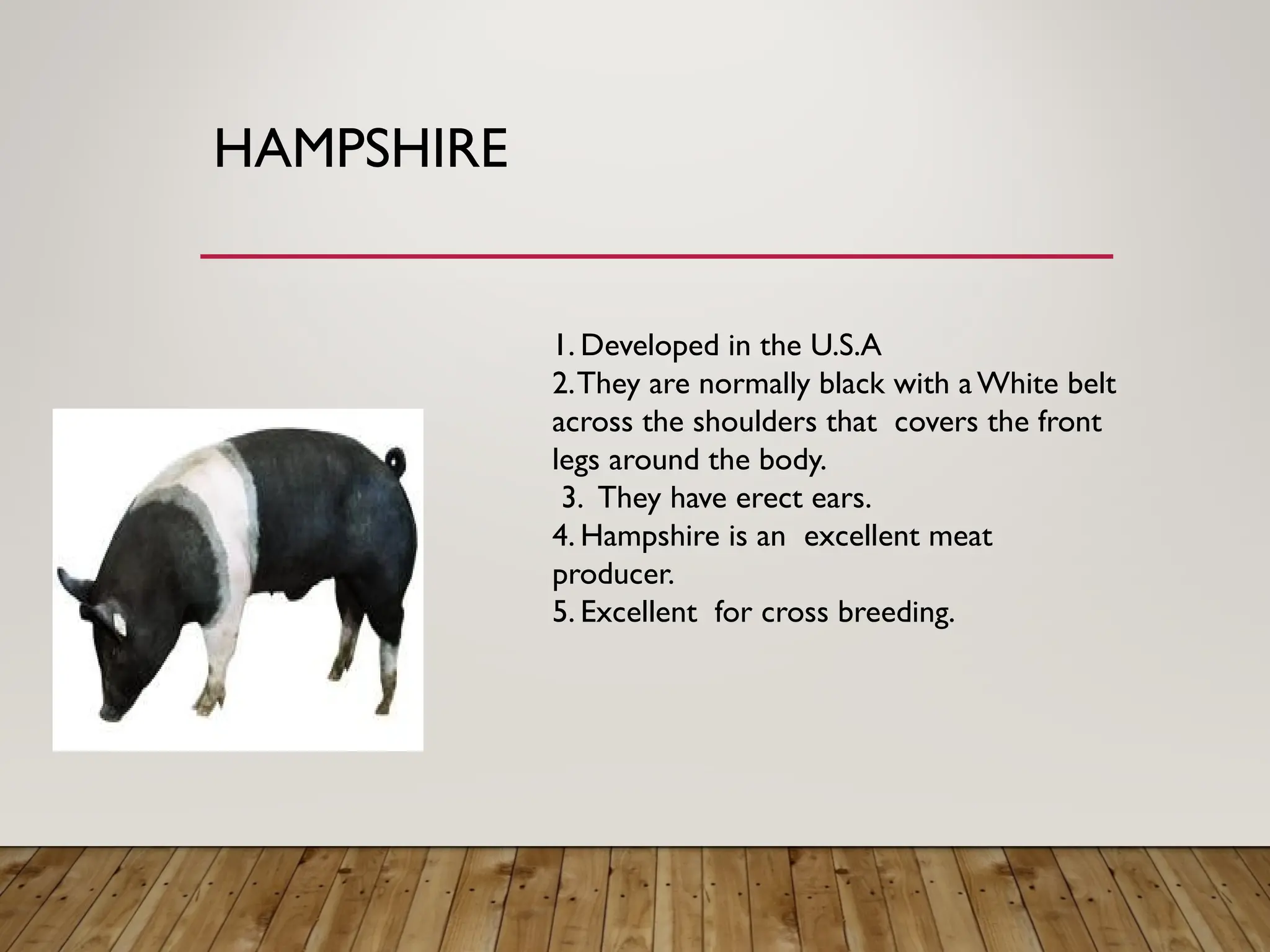 Various Breeds of farm animals PowerPoint | PPTX