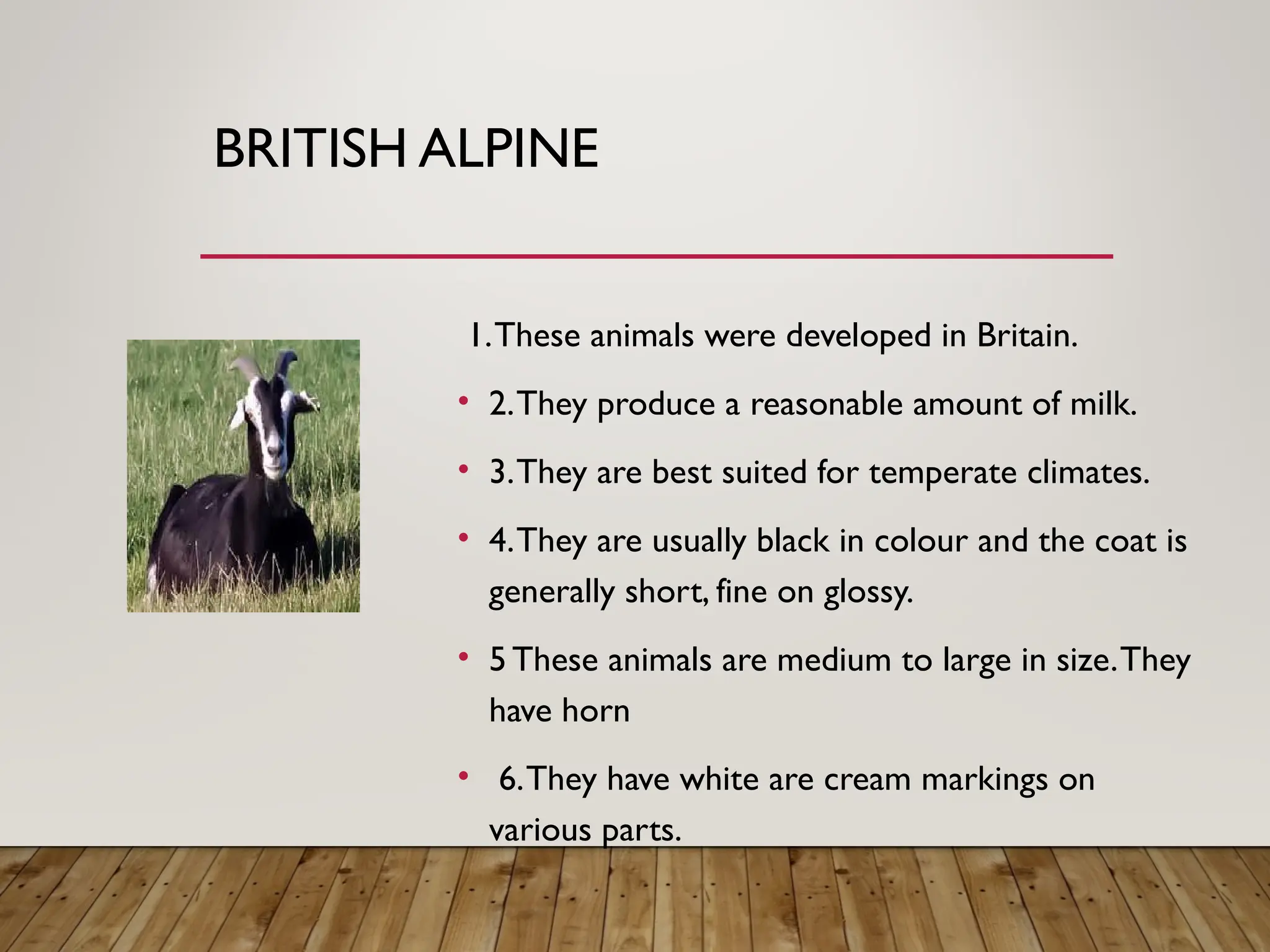 Various Breeds of farm animals PowerPoint | PPTX