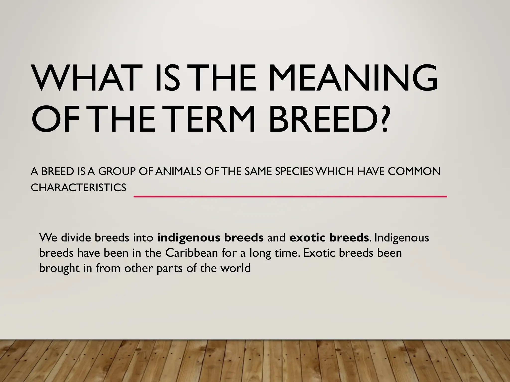 Various Breeds of farm animals PowerPoint | PPTX