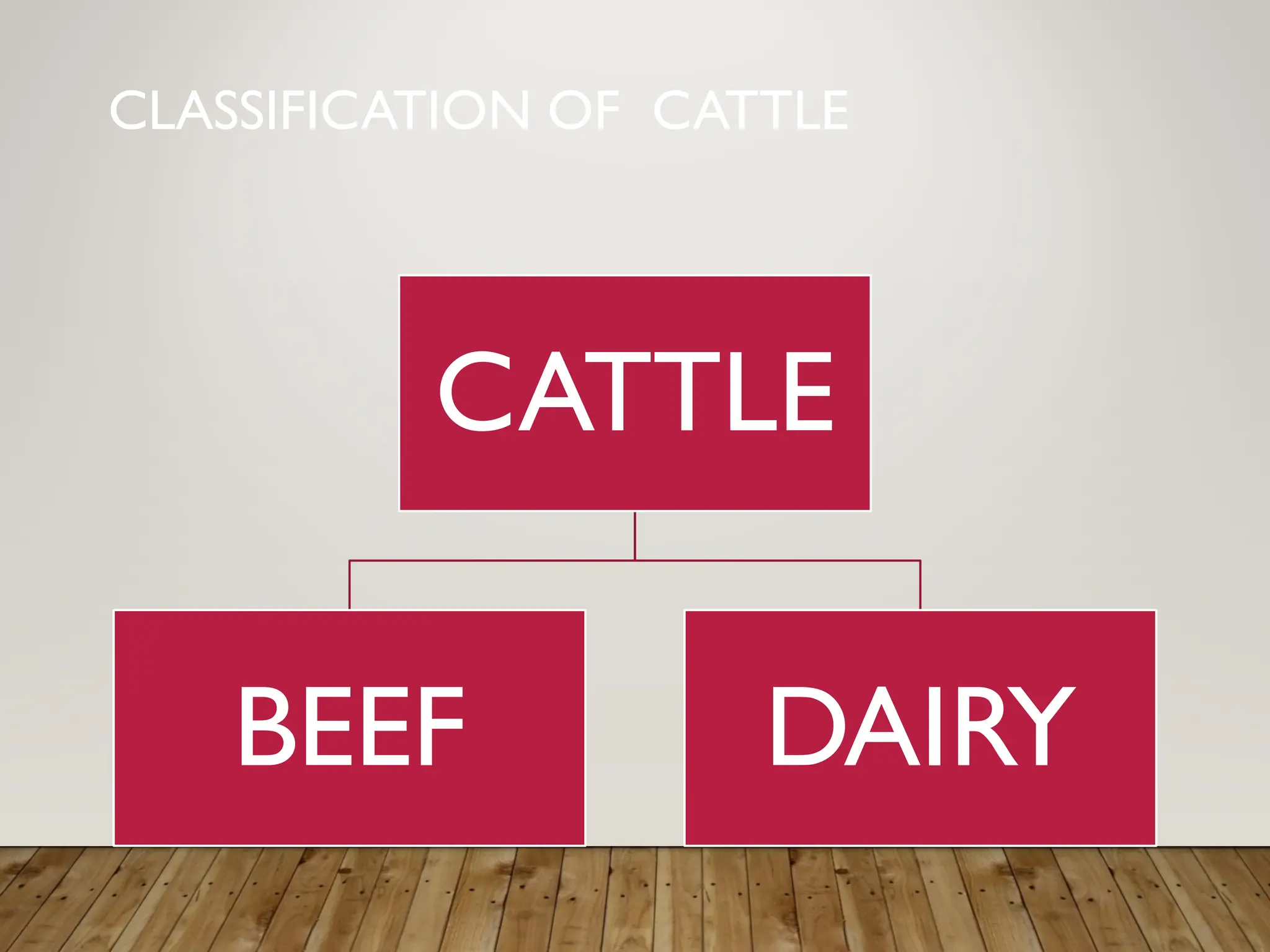 Various Breeds of farm animals PowerPoint | PPTX