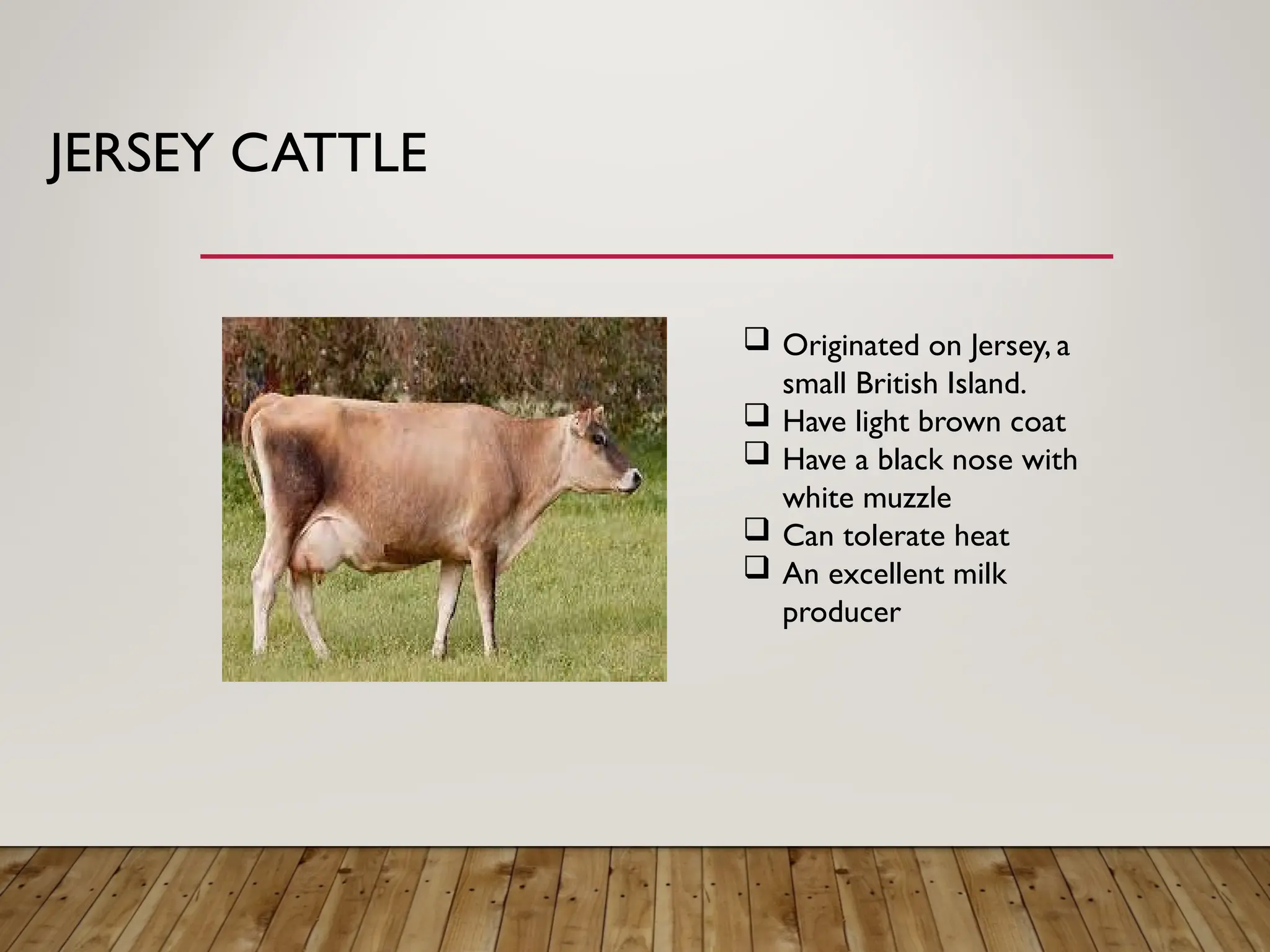 Various Breeds of farm animals PowerPoint | PPTX