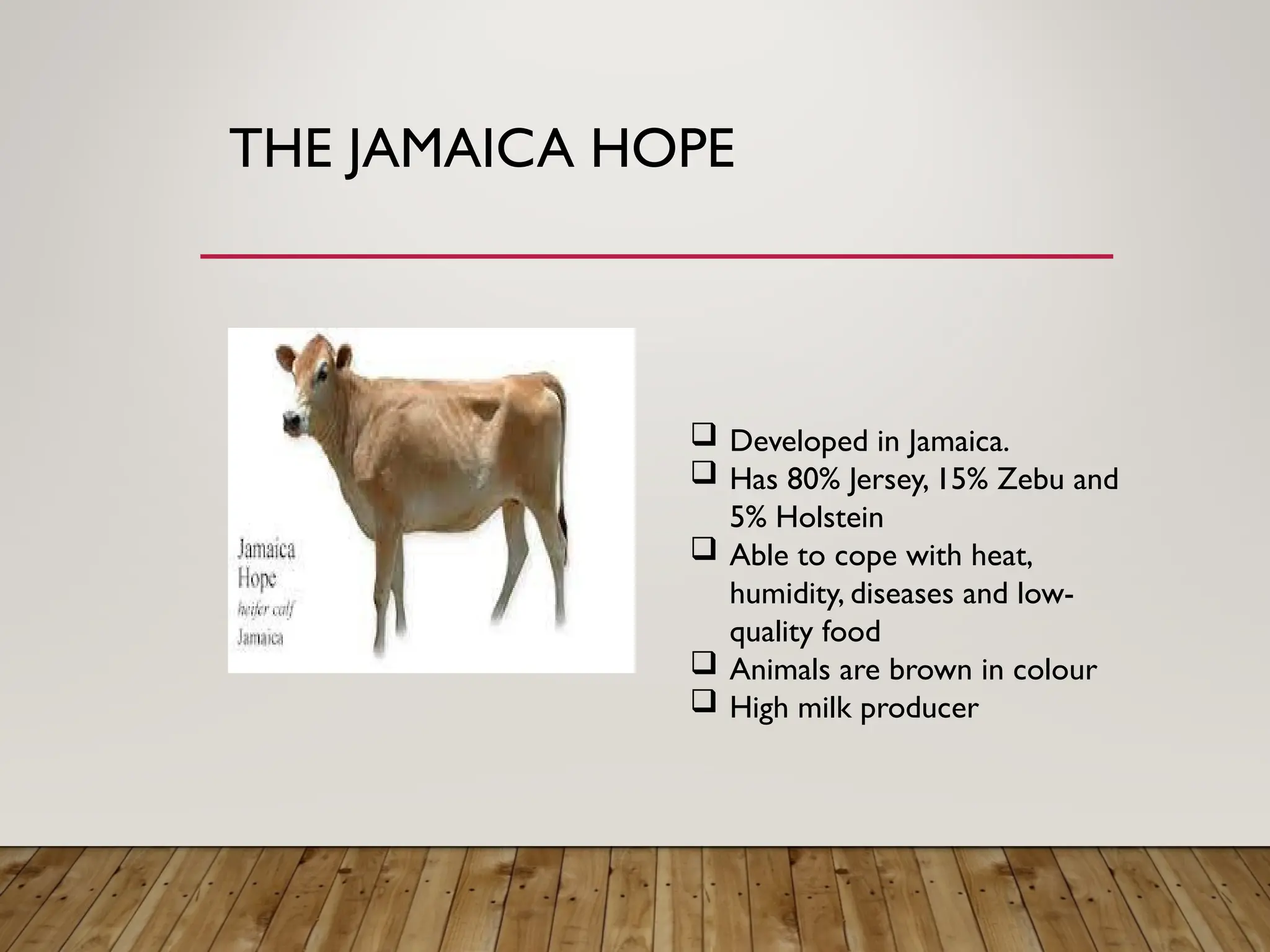 Various Breeds of farm animals PowerPoint | PPTX