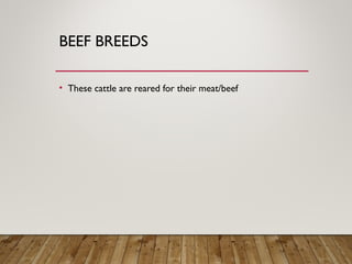 Various Breeds of farm animals PowerPoint | PPTX