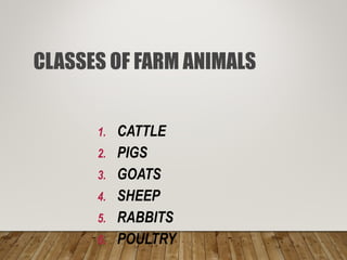 Various Breeds of farm animals PowerPoint | PPTX
