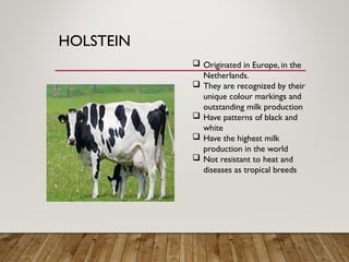 Various Breeds of farm animals PowerPoint | PPTX