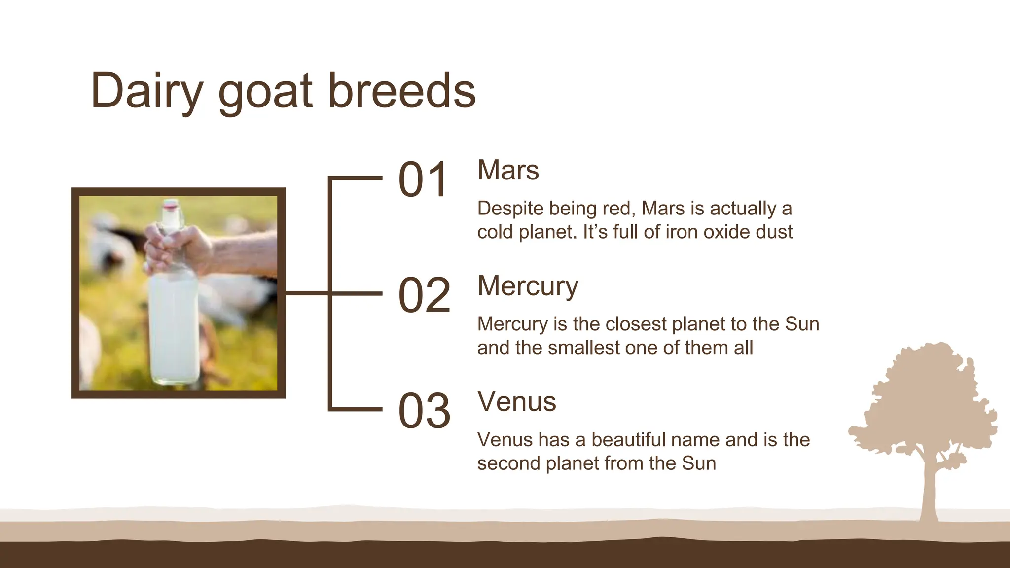 Different Breeds of Goats and Characteristics.pptx