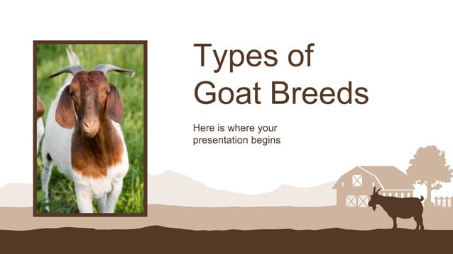 Different Breeds of Goats and Characteristics.pptx | Chemistry | Science