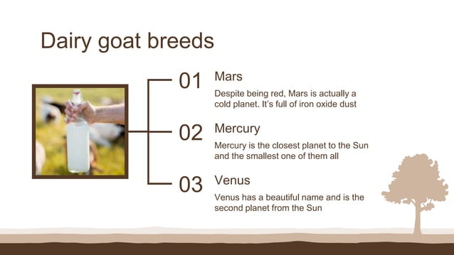 Different Breeds of Goats and Characteristics.pptx | Chemistry | Science
