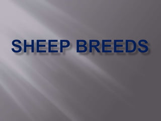 Breeds of livestock | PPTX
