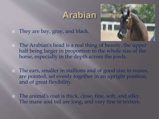 Breeds of livestock | PPTX