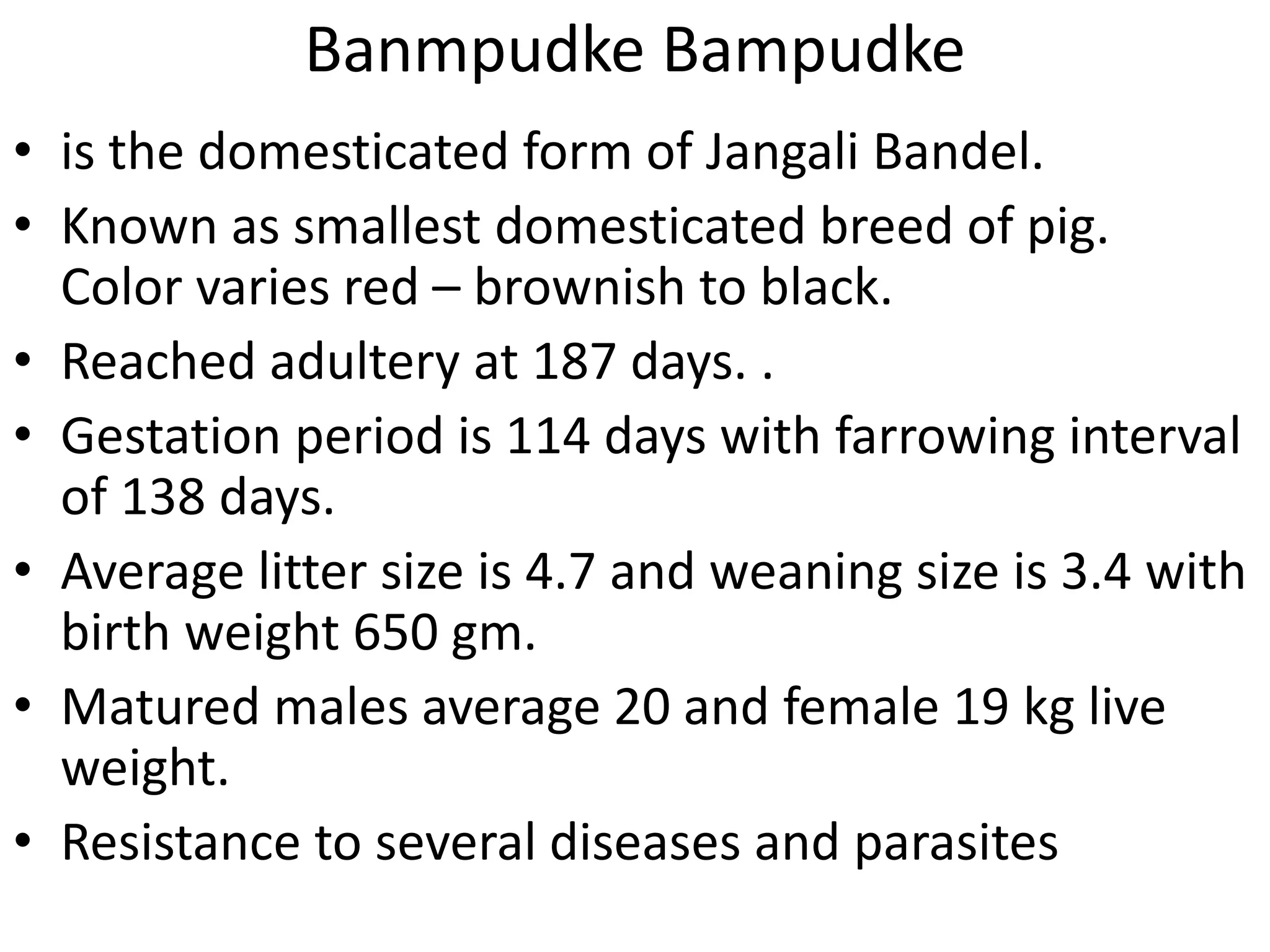 Breeds of pig | PPTX