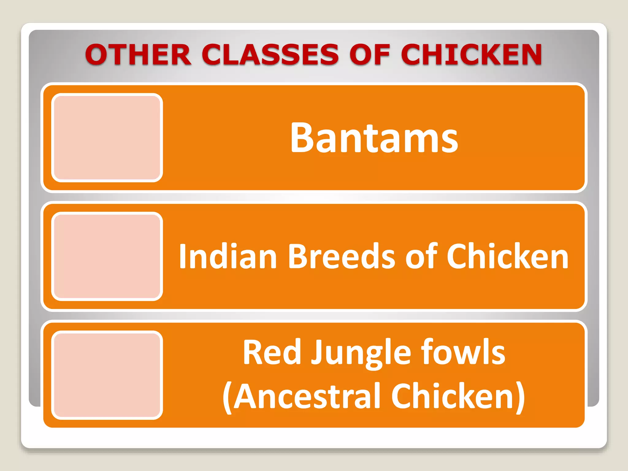 Breeds of poultry | PPTX