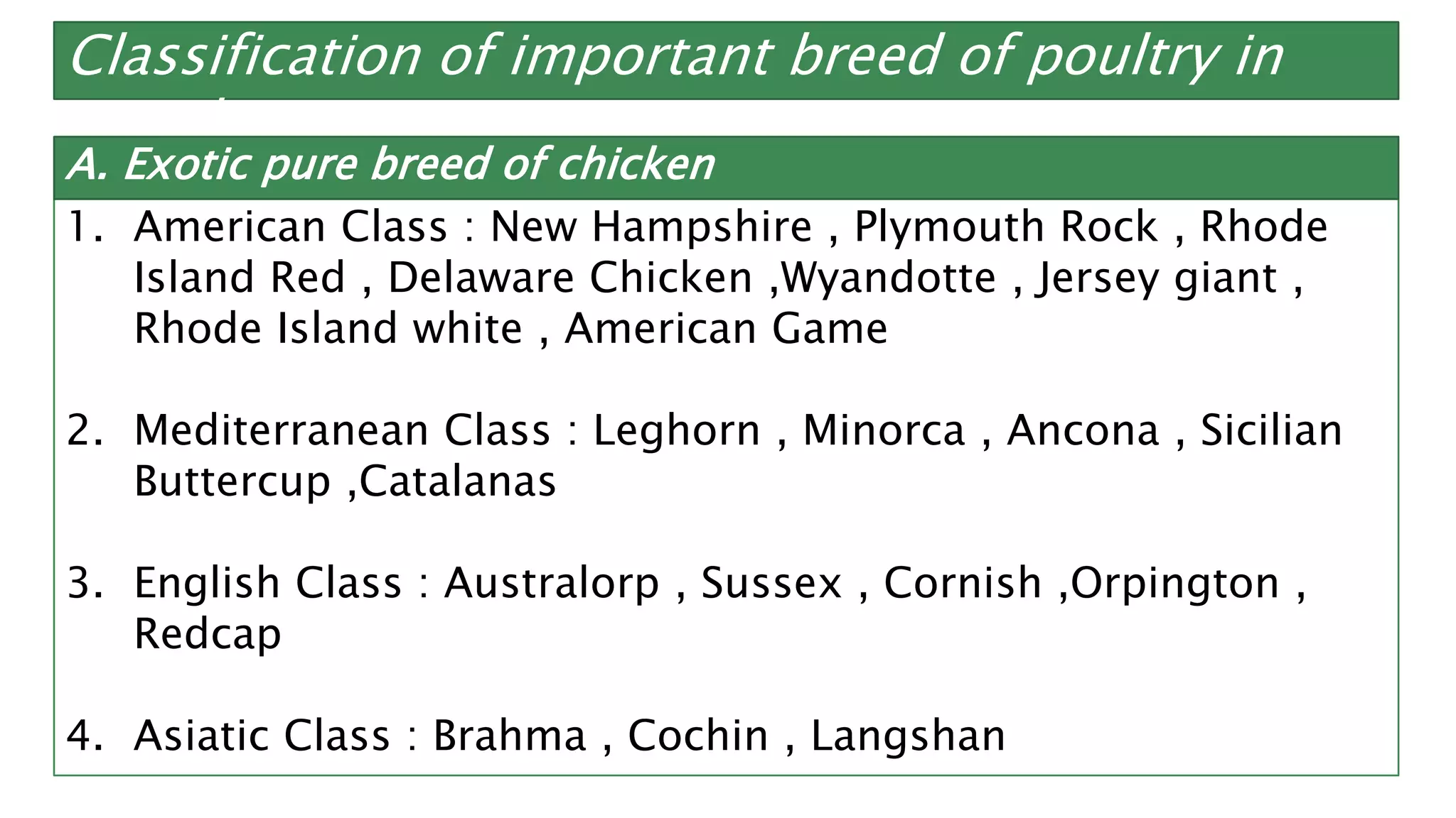 Breeds of poultry.pptx