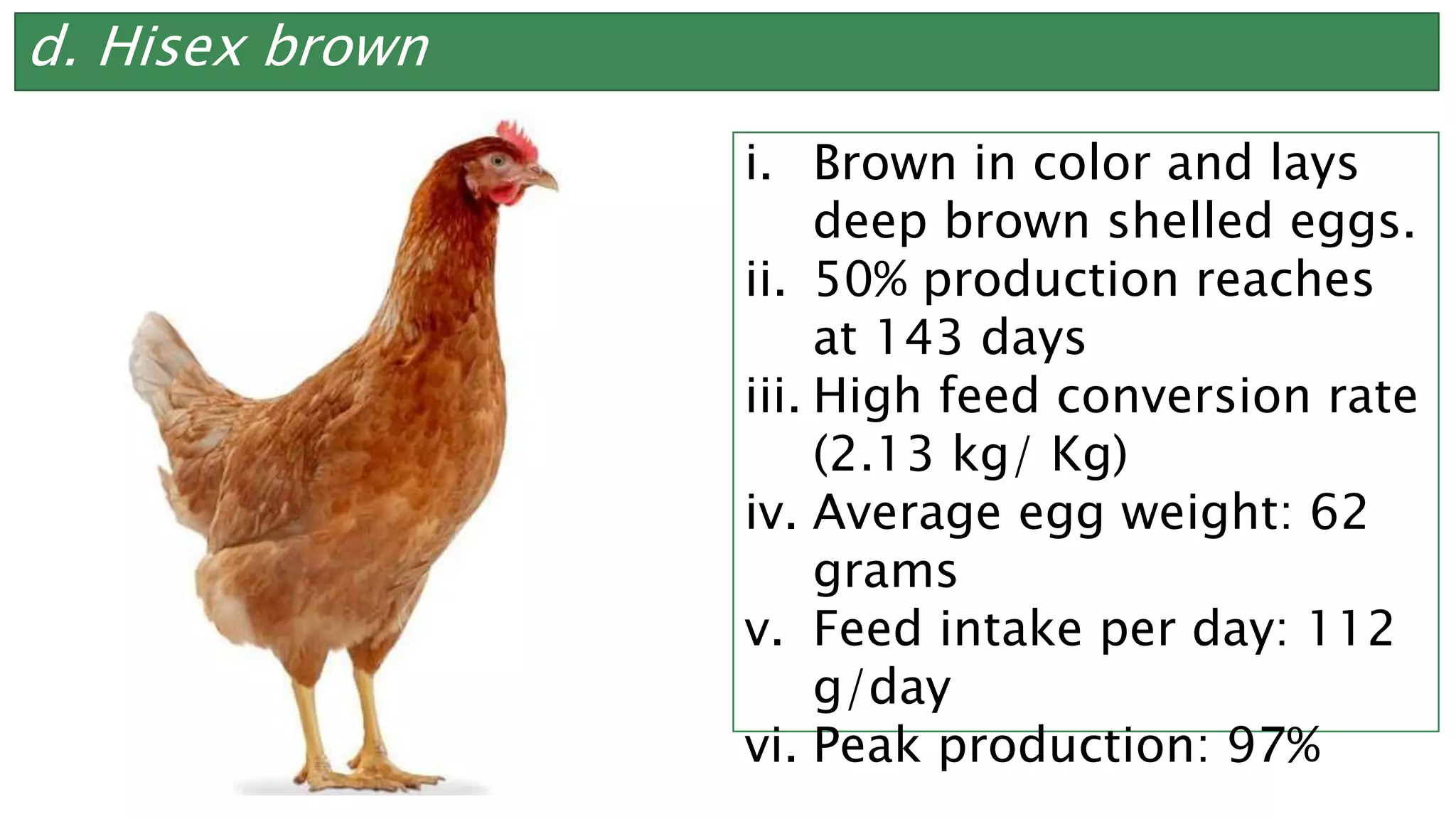 Breeds of poultry.pptx