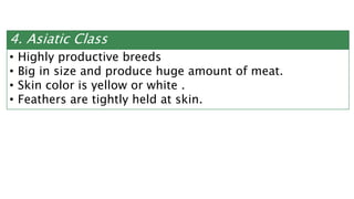 Breeds of poultry.pptx