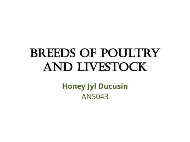 Different Breeds of Poultry and Livestock Animals | PPTX | Large ...