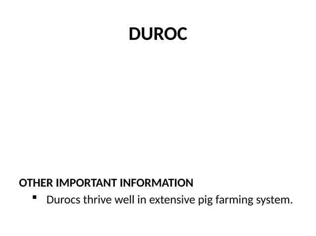 Different Breeds of Poultry and Livestock Animals | PPTX | Large ...