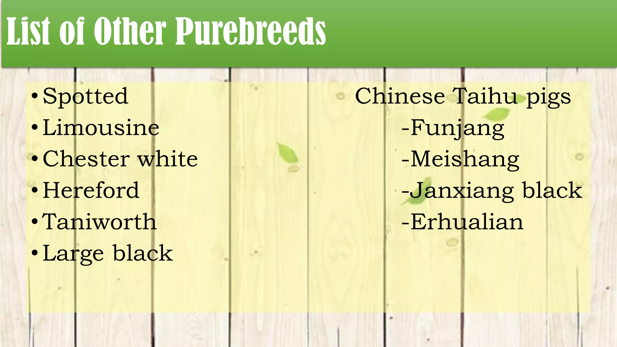Breeds of swine | PDF
