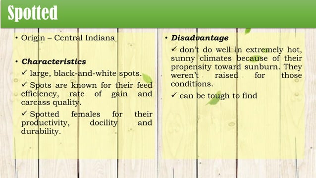 Breeds of swine | PDF | Dogs | Pets