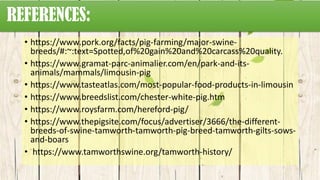 Breeds of swine | PDF
