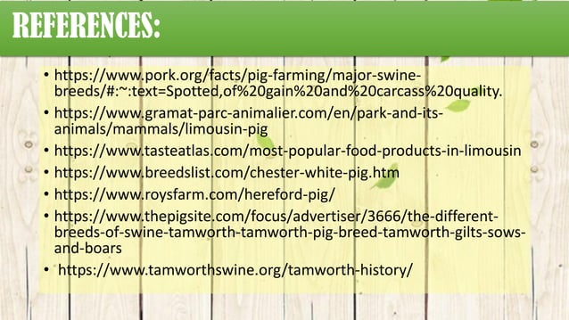 Breeds of swine | PDF | Dogs | Pets