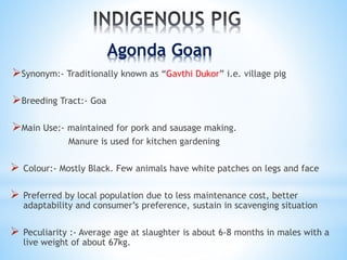 Breeds of swine & equine | PPTX