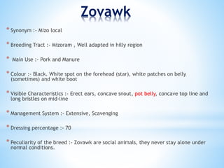 Breeds of swine & equine | PPTX